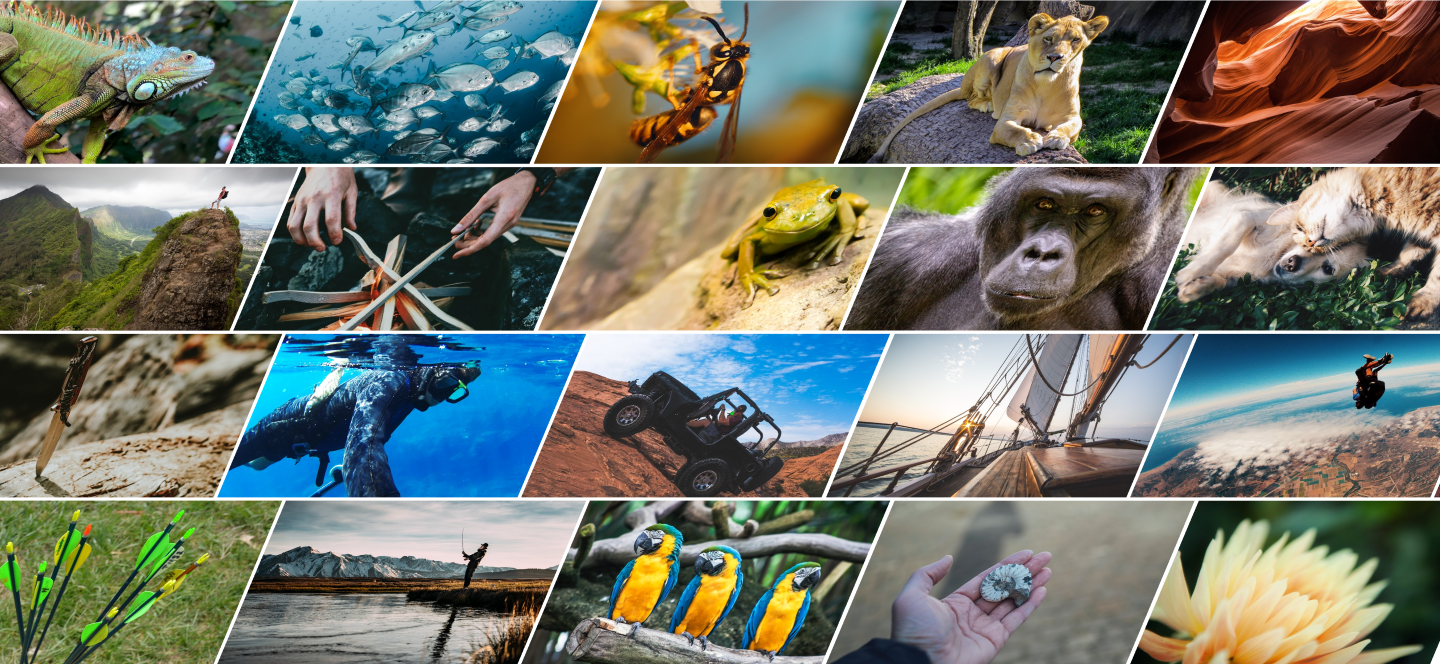 Nature and Adventure - Nature And Adventure